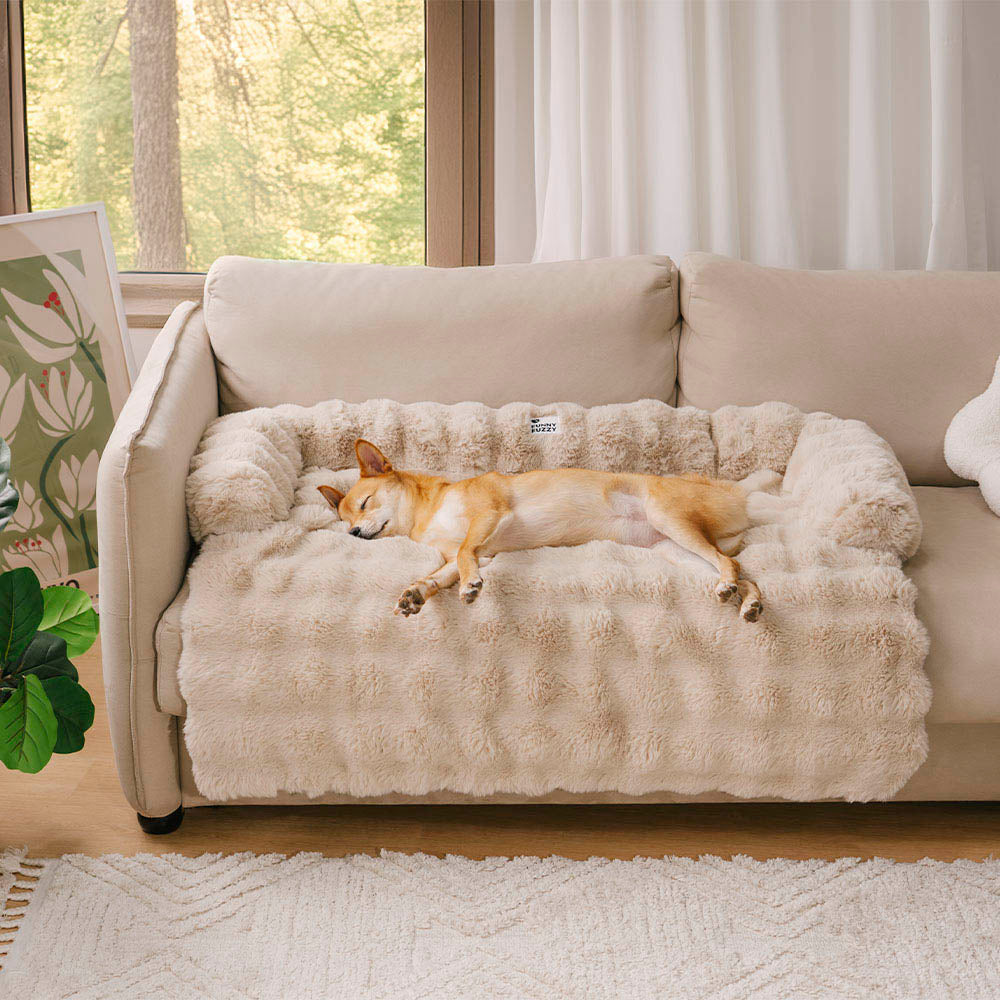 Premium Dog Sofa Covers Stylish Protective Pet Furniture Covers Premium Dog Sofa Covers Stylish Protective Pet Furniture Covers