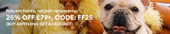 Orthopaedic Scratch-Resistant Waterproof Garden Outdoor Dog Bed