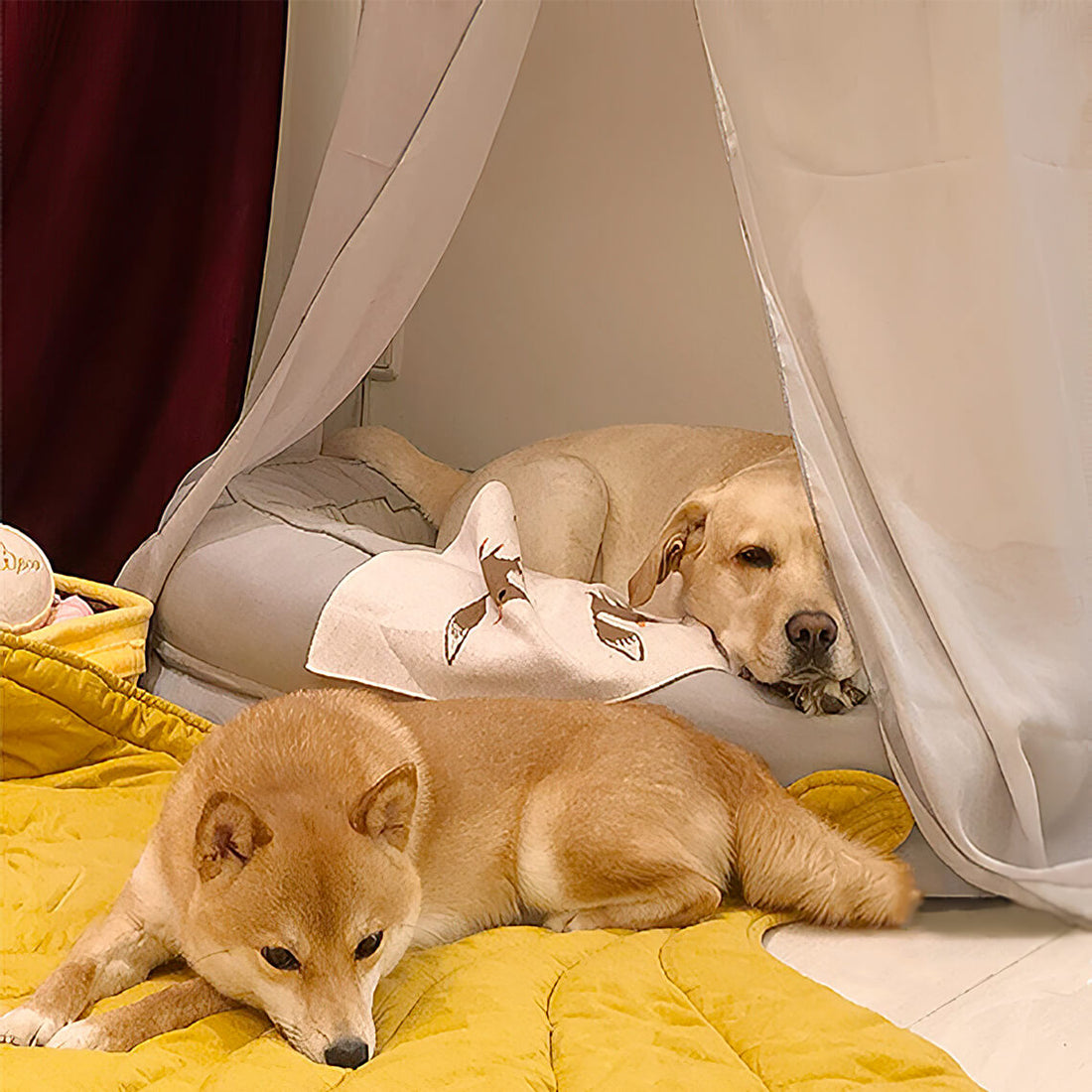 Calming Leaf Shape Dog Blanket With Donut Dog Bed