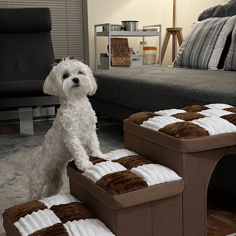 Everyday Pet Care Essentials